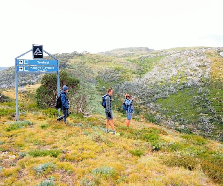 Hike to Mt Loch Summit in Alpine Victoria